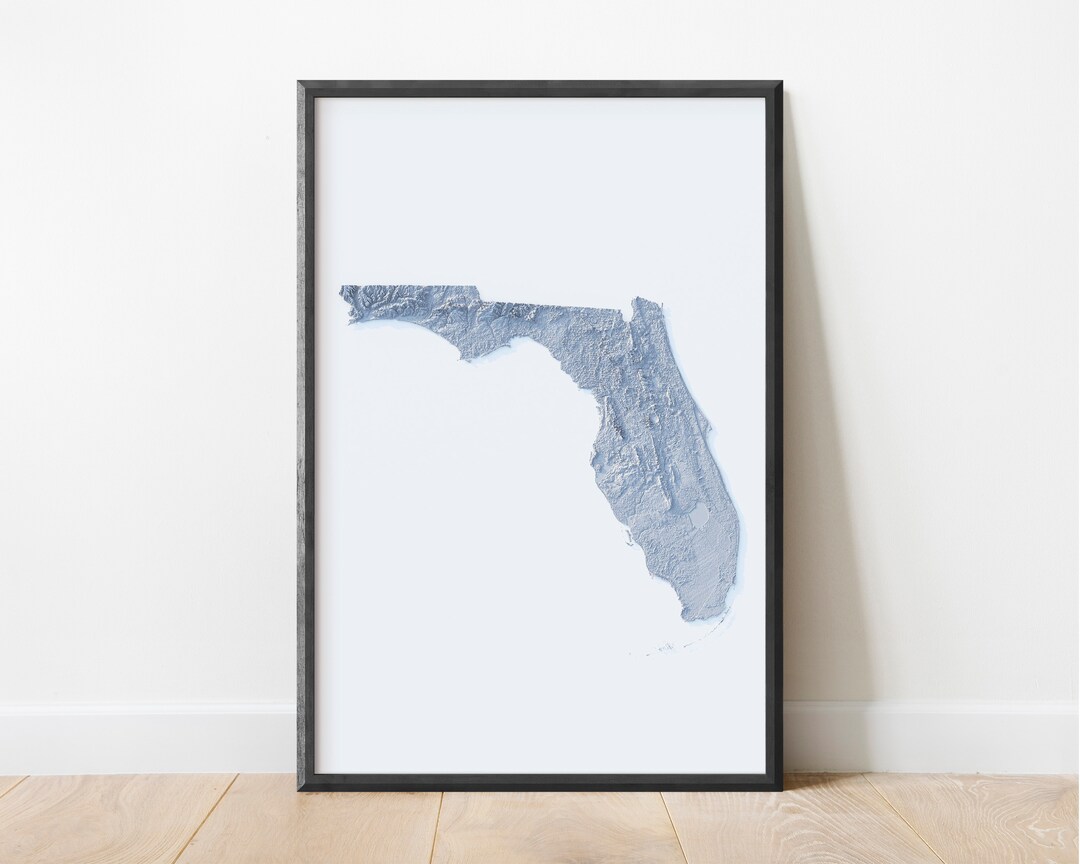 Florida Minimalist Topography Relief Map Stylized Cartography Elevation ...