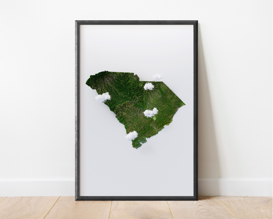 South Carolina Satellite Relief Map Wall Art | Stylized Cartography ...
