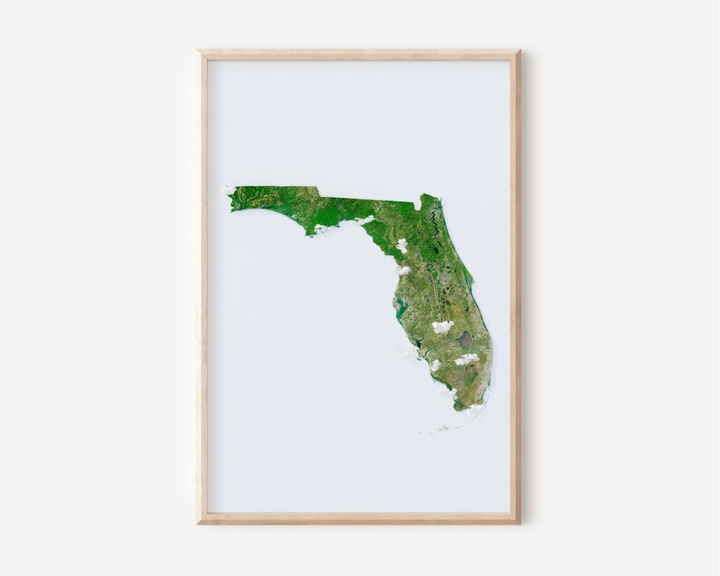 Florida Satellite Topography Relief Map Wall Art Stylized Cartography ...