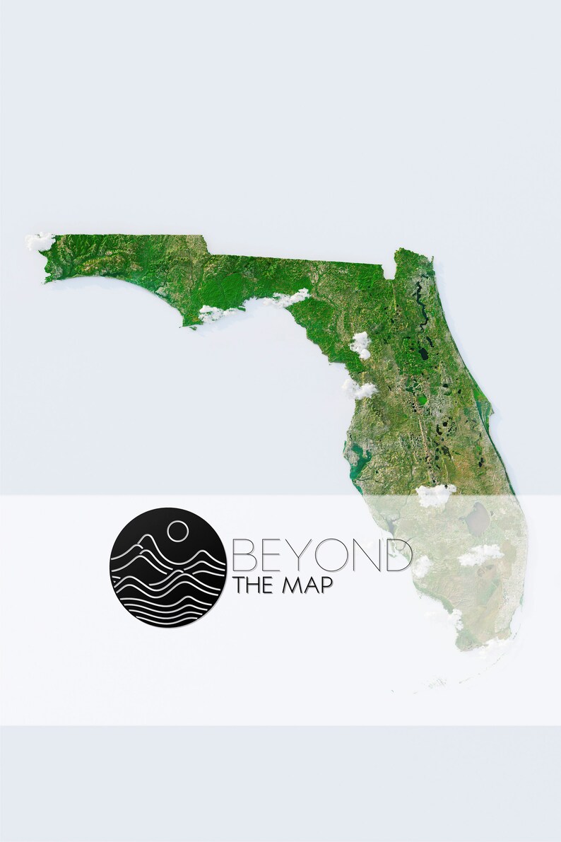 Florida Satellite Topography Relief Map Wall Art Stylized Cartography ...