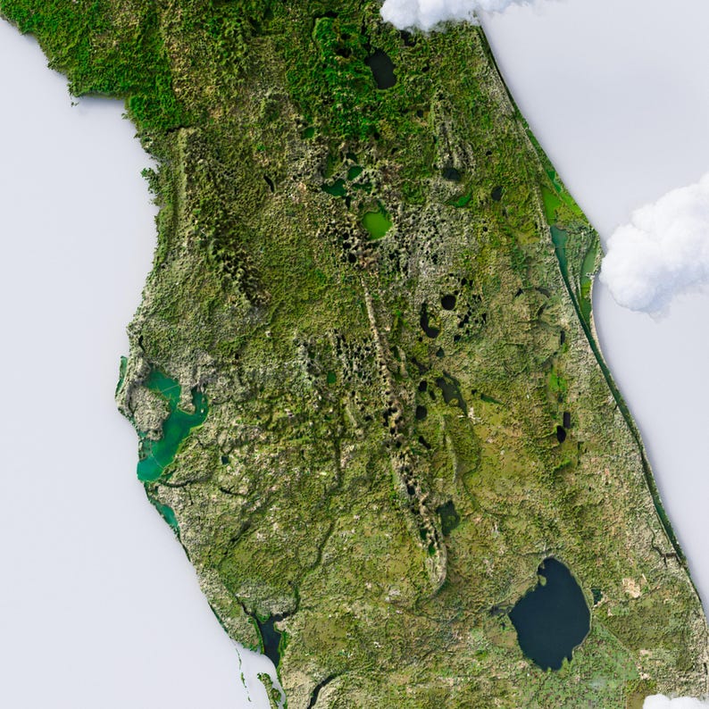 Florida Satellite Topography Relief Map Wall Art | Stylized Cartography ...