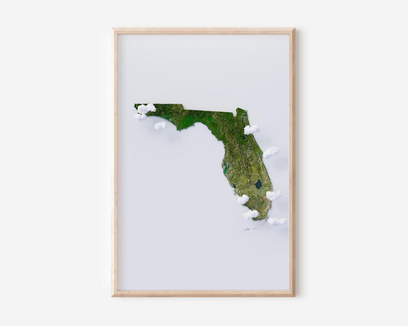 Florida Satellite Topography Relief Map Wall Art | Stylized Cartography ...