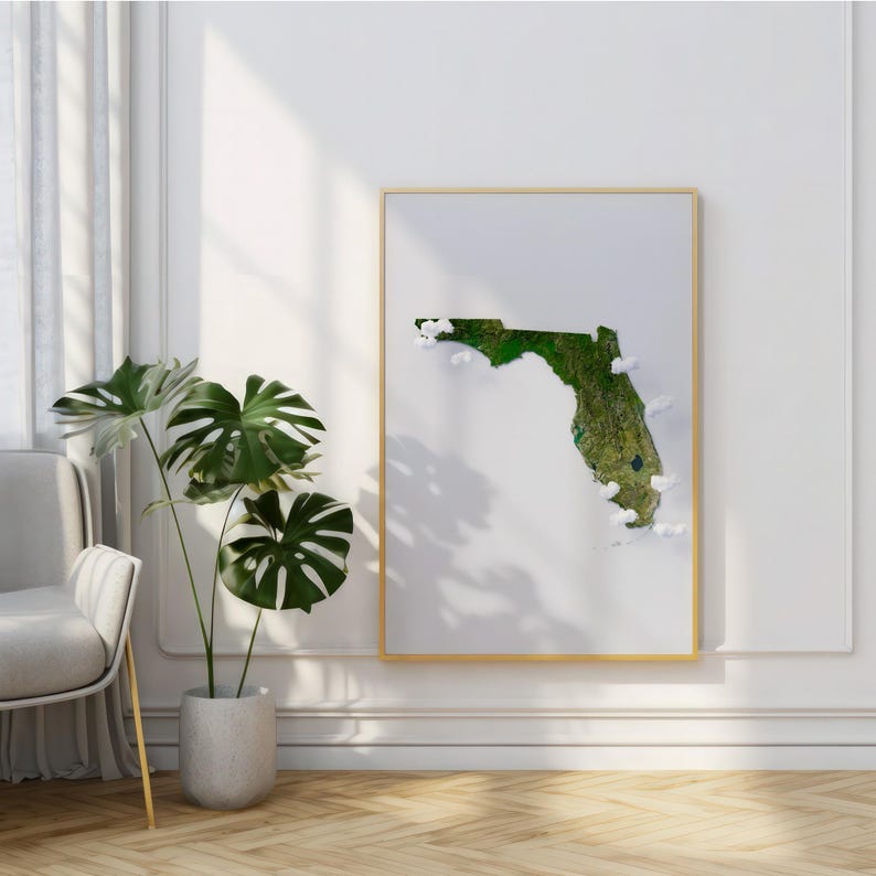 Florida Satellite Topography Relief Map Wall Art | Stylized Cartography ...