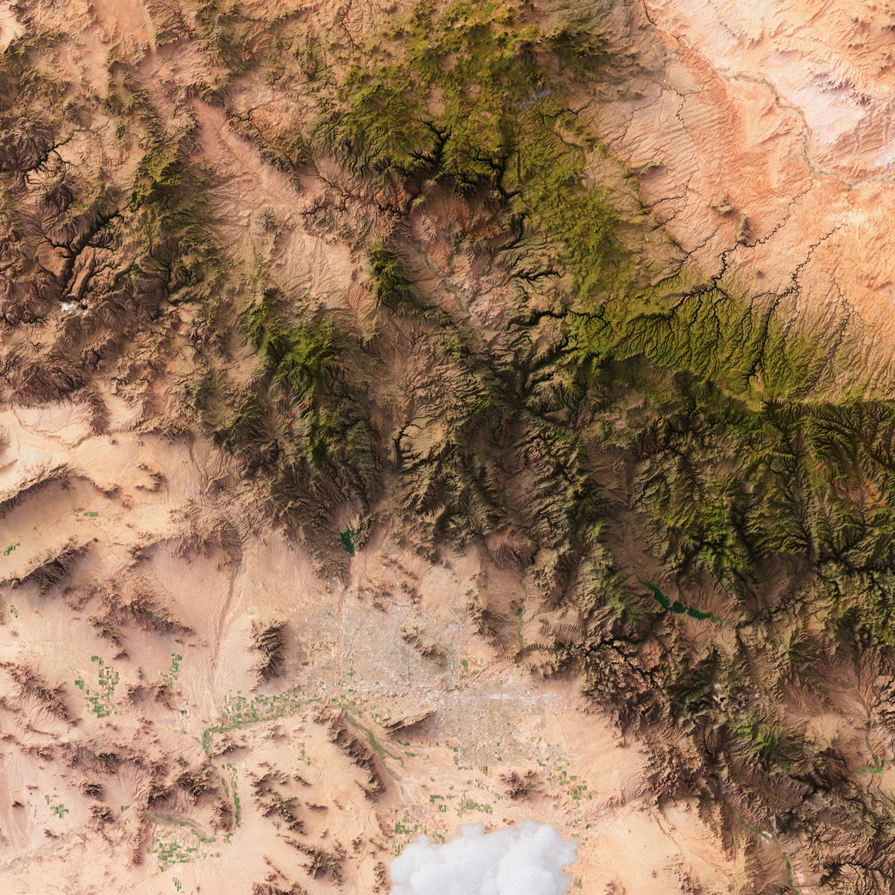 Arizona Stylized Satellite Relief Map | Map Art Cartography | Elevation ...