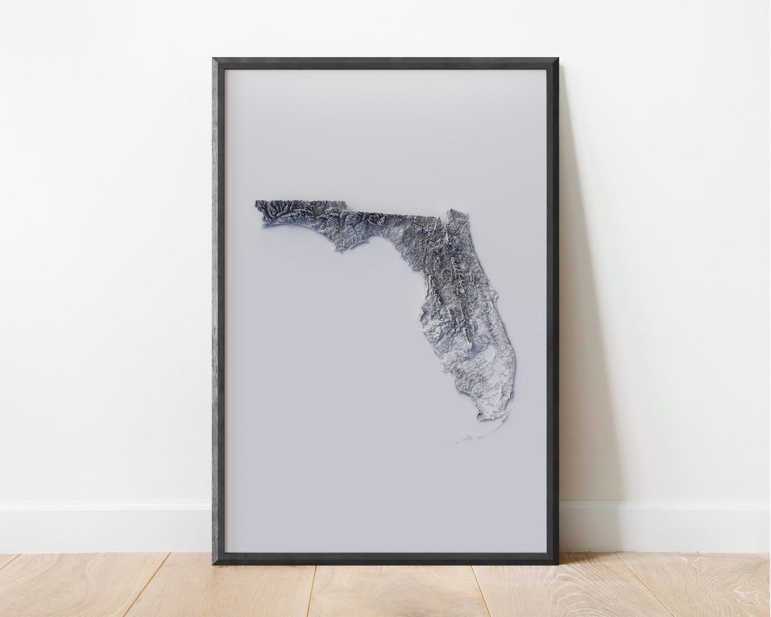 Florida Minimalist Topography Relief Map | Stylized Cartography ...