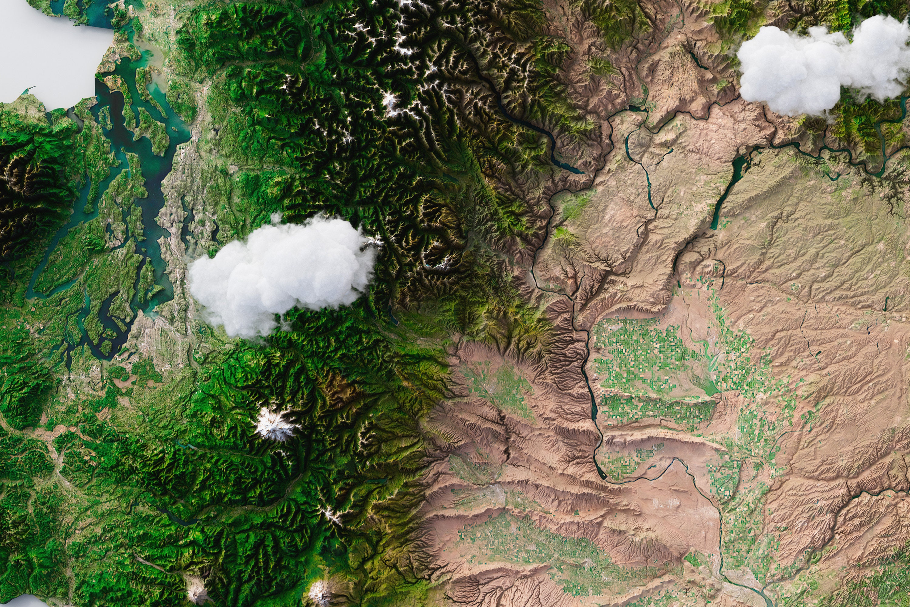 Washington Stylized Satellite Relief Print | Map Art Cartography ...
