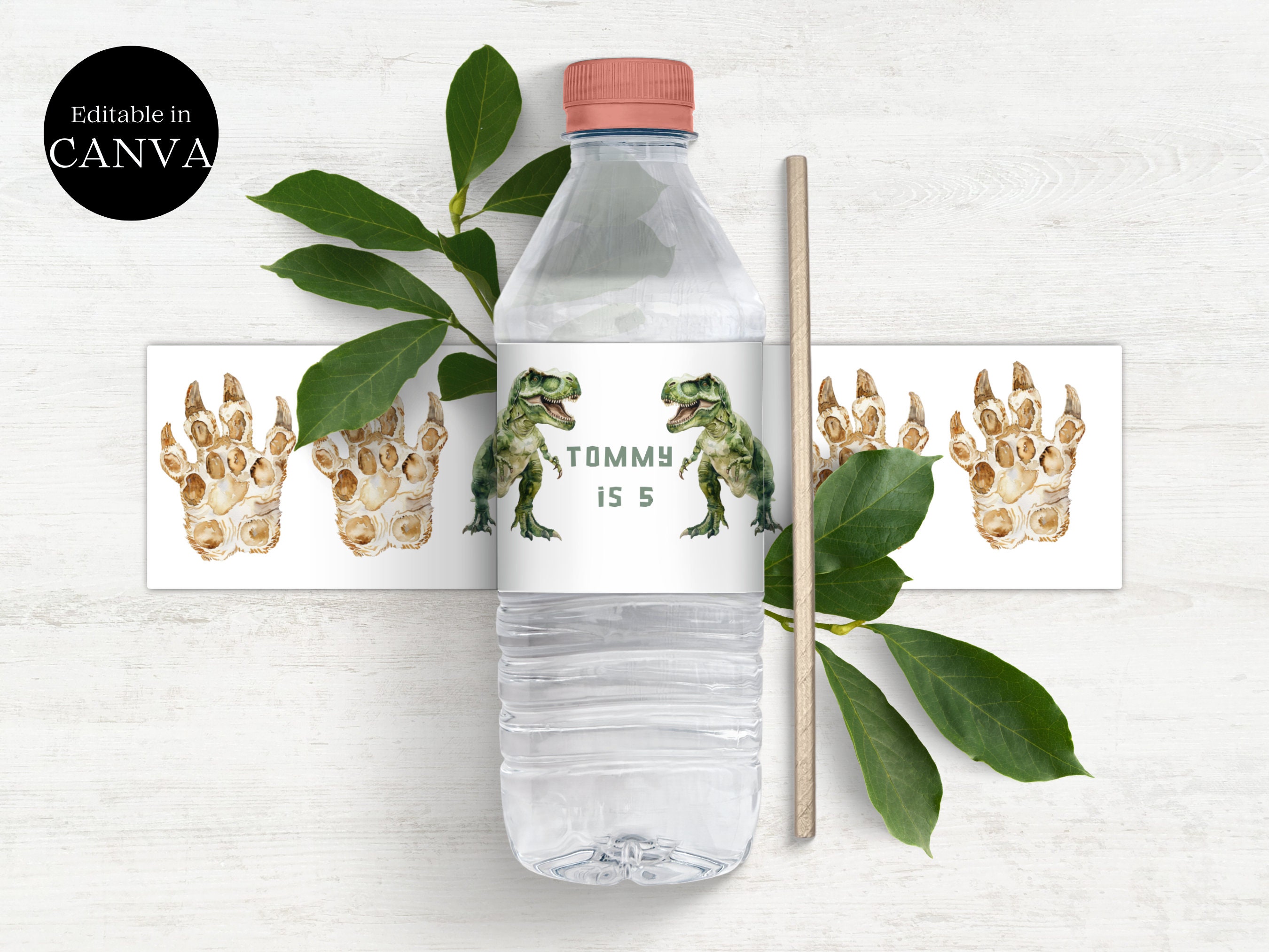 Dinosaur Drink Bottle Label, INSTANT DOWNLOAD, Roar, Editable, Dino ...