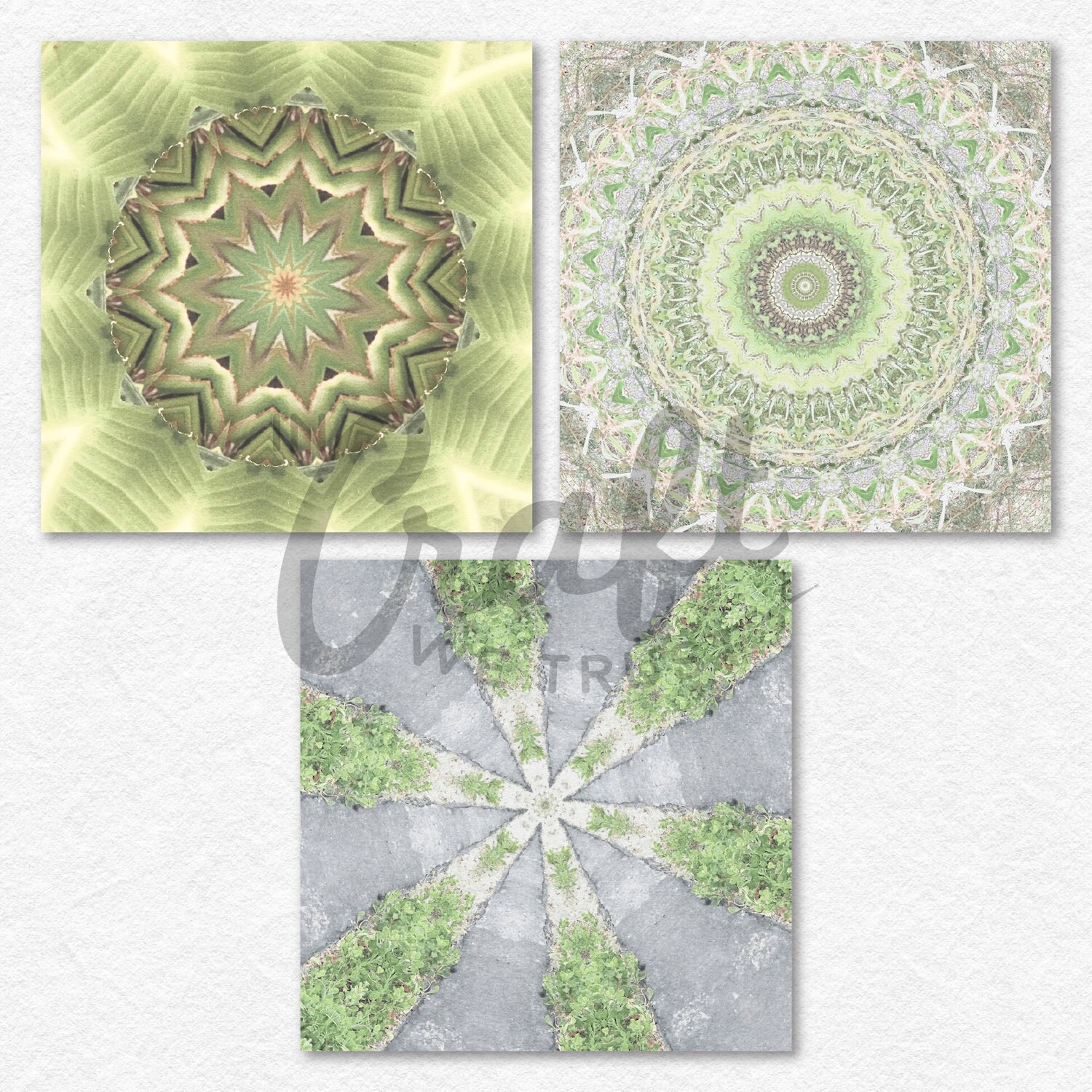 MANDALAS 1-6 Hi-res Circular Pattern Backgrounds • Printable Digital ...