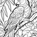 Into the Wild: Jungle Animal Coloring Book | Coloring Materials for All ...