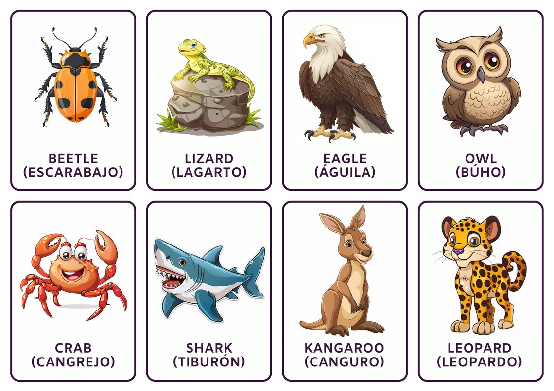 Spanish & English Flashcards Spanish and English Animal Flashcards ...