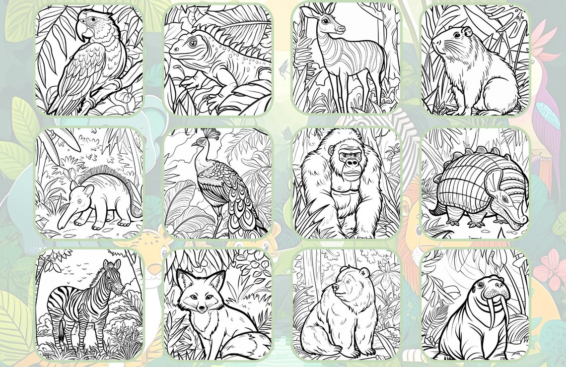 Into the Wild: Jungle Animal Coloring Book Coloring Materials for All ...