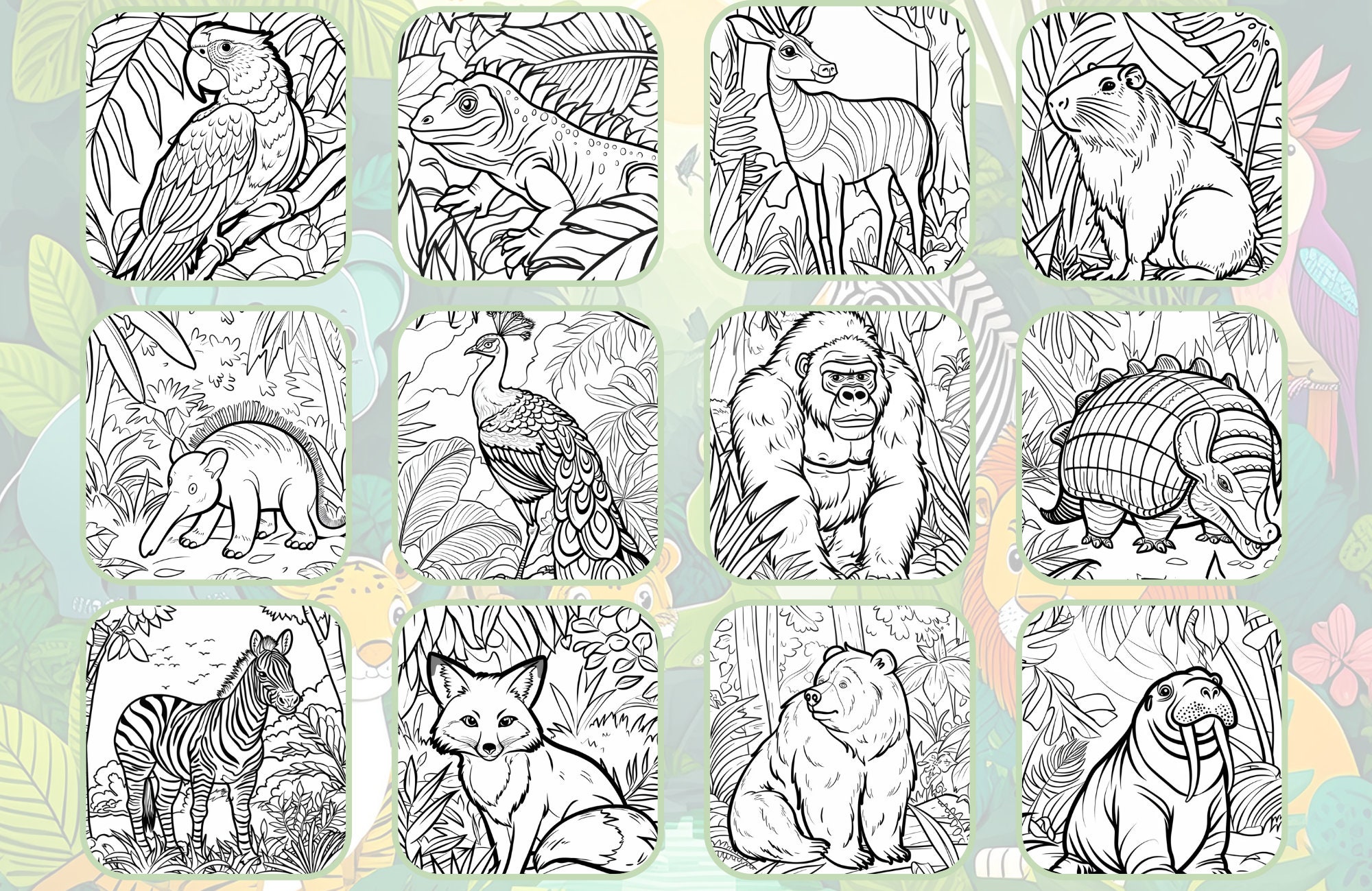Into the Wild: Jungle Animal Coloring Book | Coloring Materials for All ...