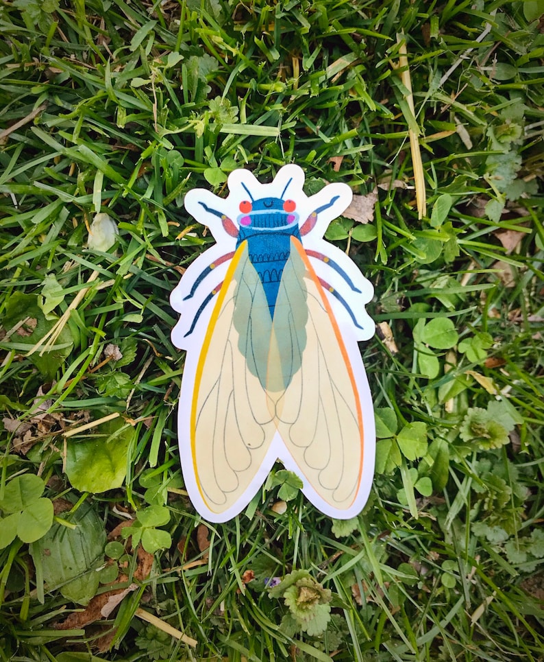Cicada Vinyl Sticker - Etsy