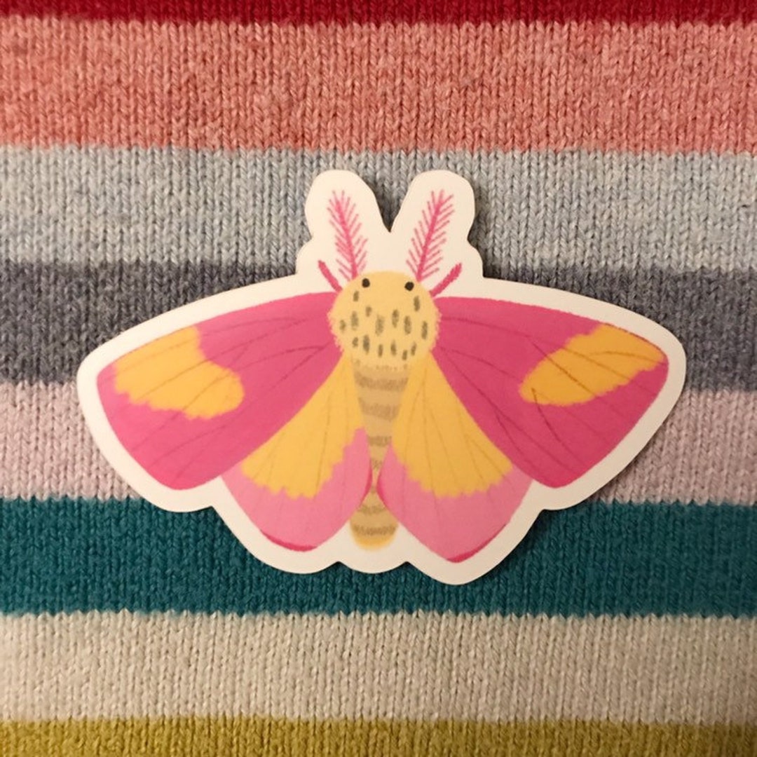 Rosy Maple Moth Vinyl Sticker - Etsy