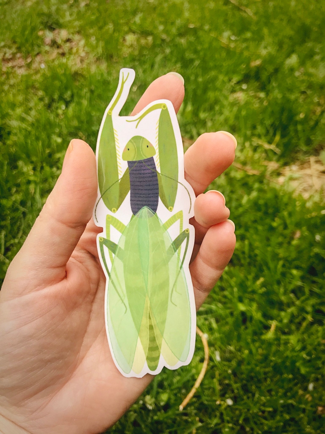 Preying Mantis Vinyl Sticker - Etsy