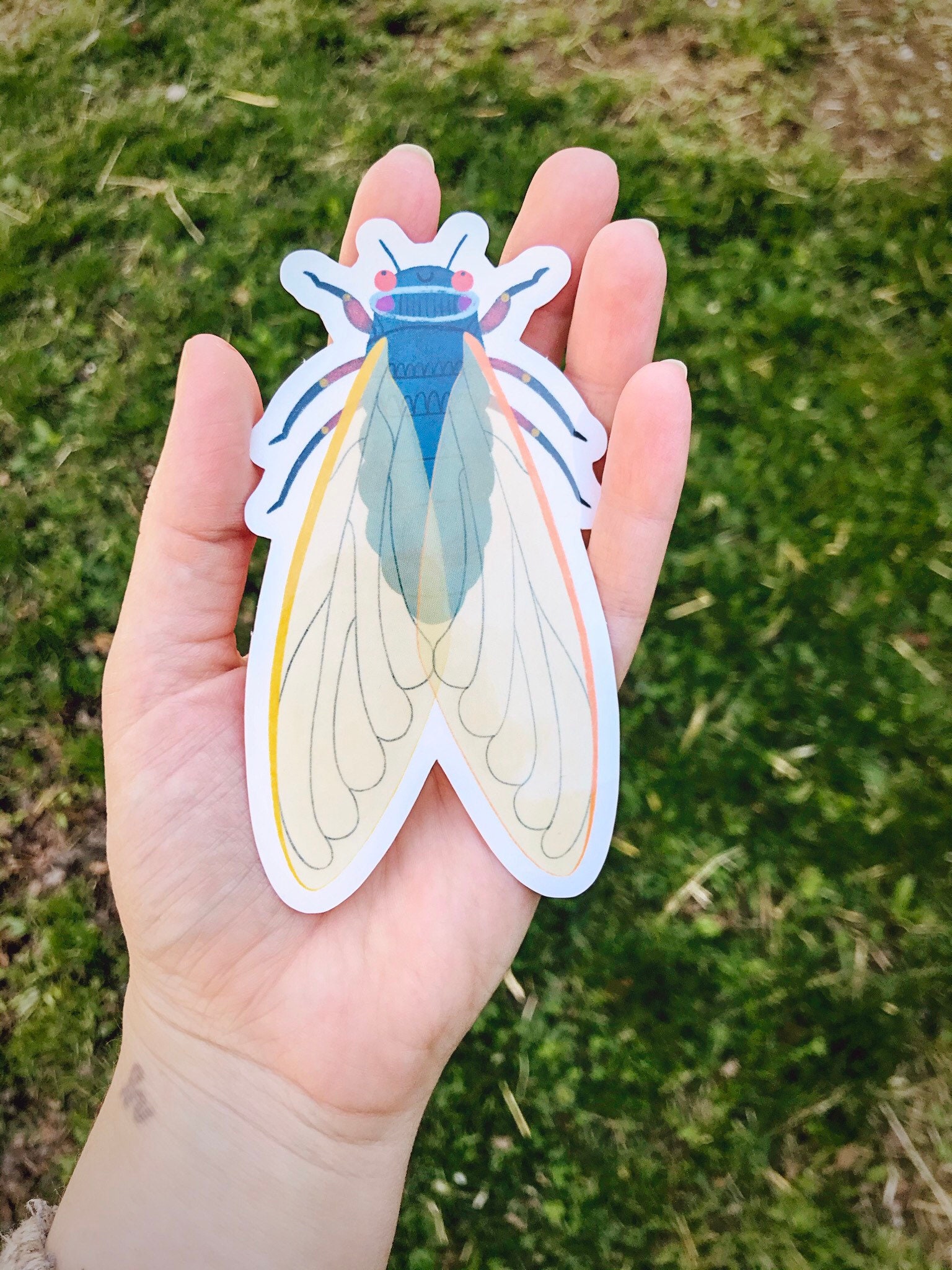 Cicada vinyl sticker | Etsy