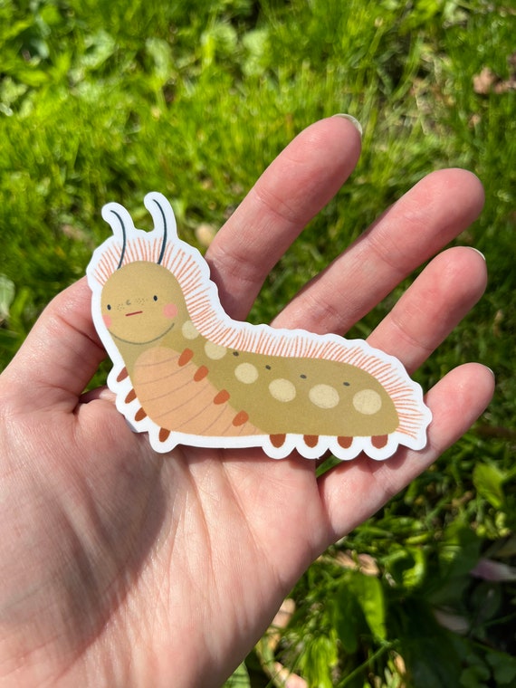 Grumpy Caterpillar Vinyl Sticker - Etsy