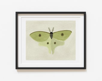 Luna Moth Hand Drawn Art Print - Etsy
