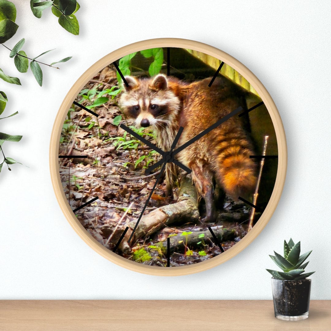 Raccoon Wall Clock Wall Art Rustic Home Animal Decor Hanging Clock for ...