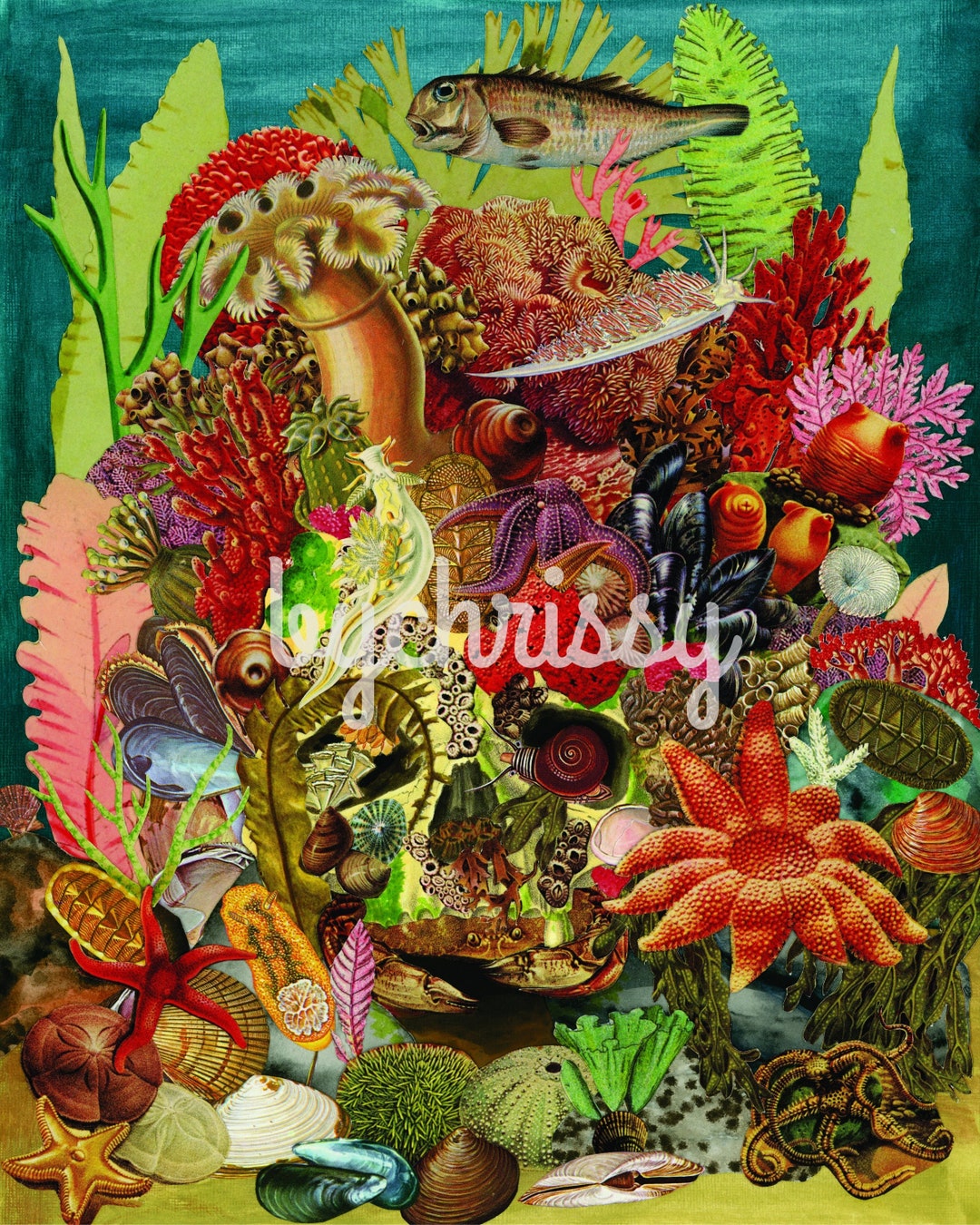Understory sea Collage Art Print 8x10 - Etsy