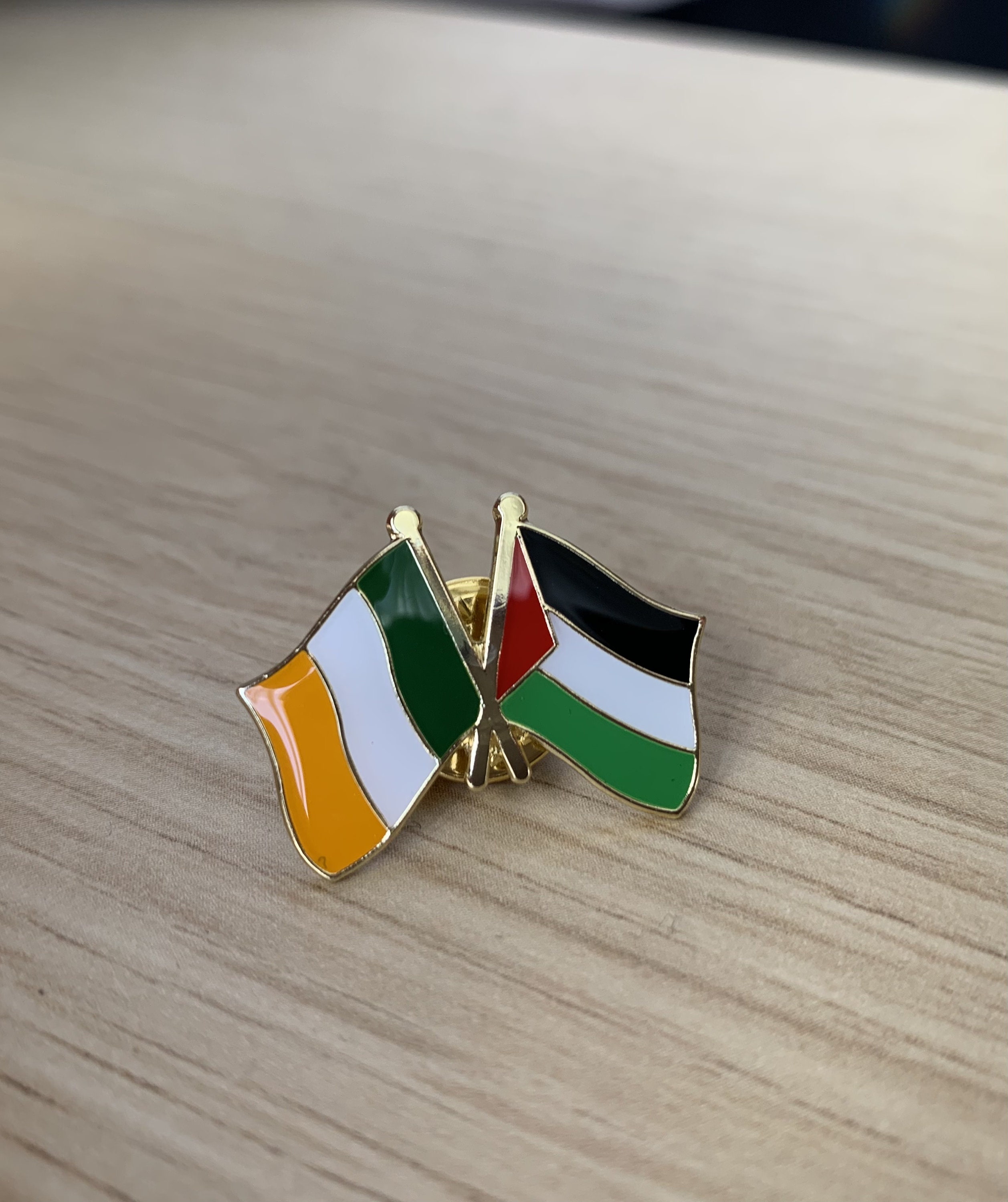 Palestine Ireland Friendship Badge Palestine Fundraiser Gaza Badge ...