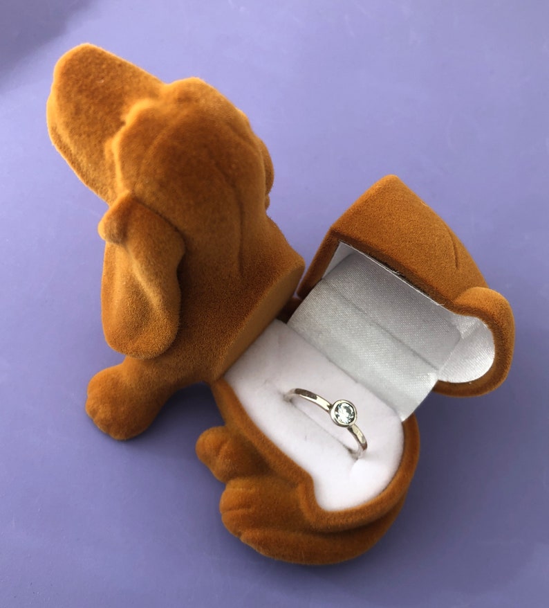 Bloodhound Vizsla Dog Ring Box - Etsy