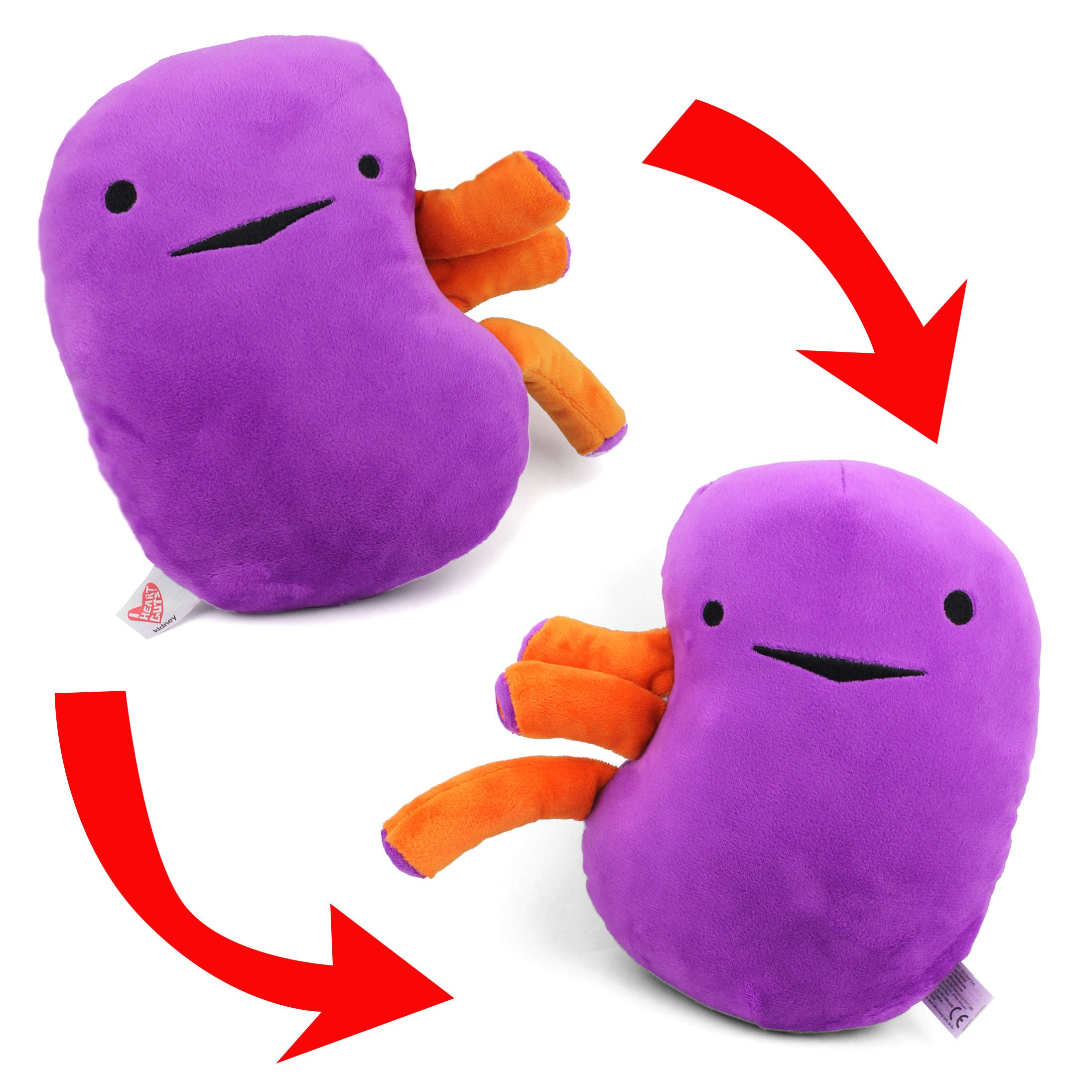 2-sided Kidney Plushie Get Well Transplant Organ Donor Stuffed Toy Cute ...