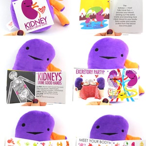 2-sided Kidney Plushie Get Well Transplant Organ Donor Stuffed Toy Cute ...