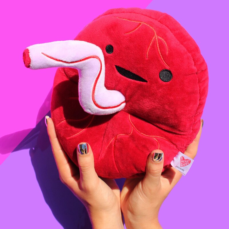 Placenta - Etsy