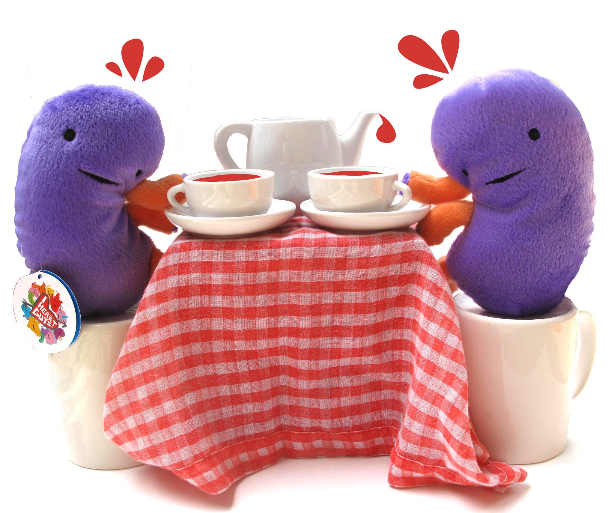 2-sided Kidney Plushie Get Well Transplant Organ Donor Stuffed Toy Cute ...