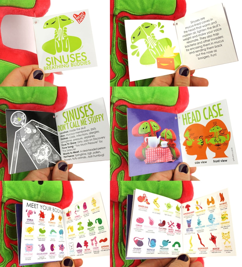 Sinus Plushie Sinusitis Plush Organ Sinuses Surgery Recovery - Etsy