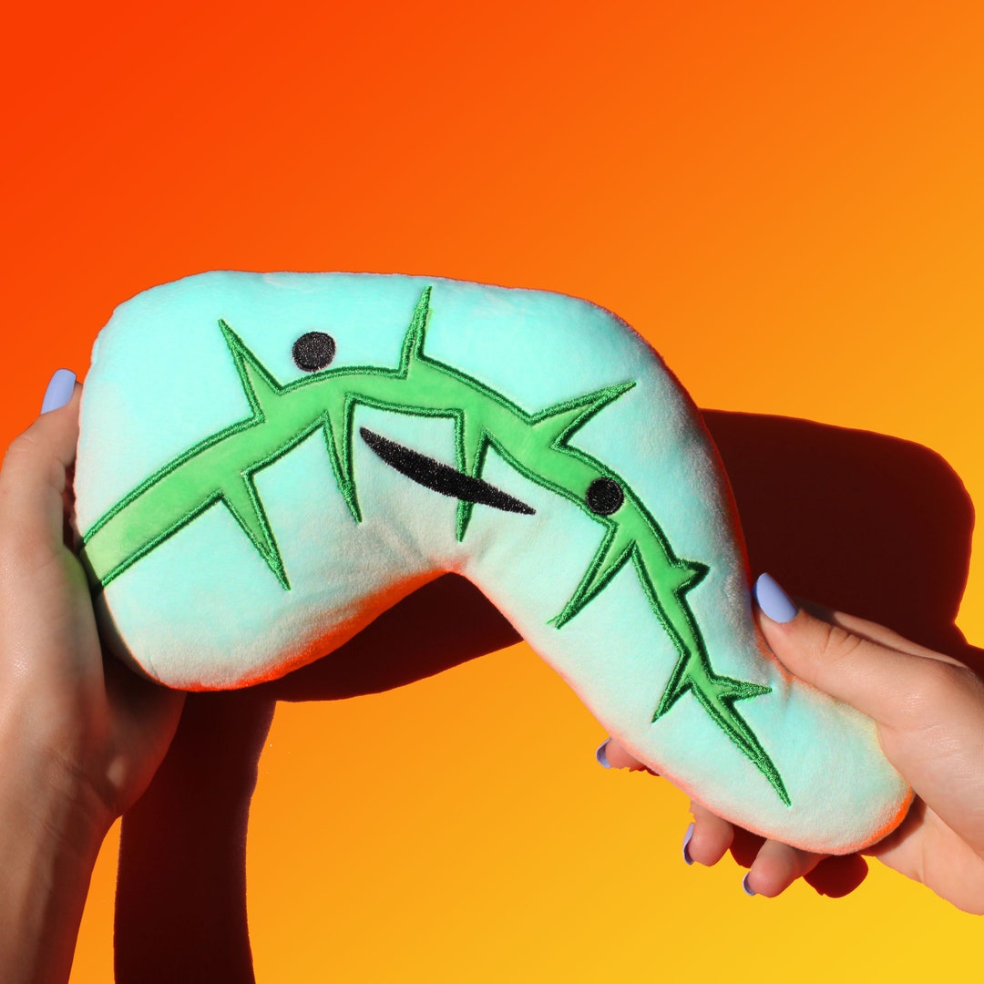 Pancreas Plushie Sweet on You I Heart Guts | Cute Diabetic Gift T1D ...