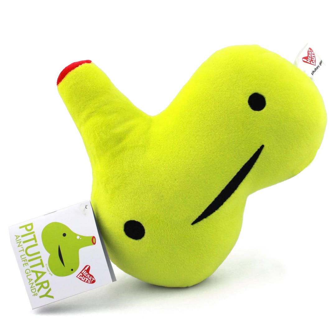 Pituitary Gland Plushie | Endocrine Tumor Surgery Gift, Brain Tumor Get ...