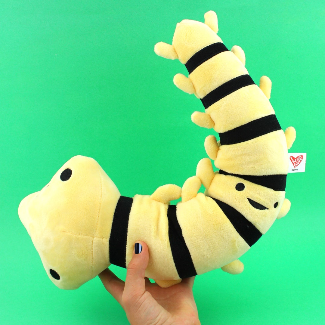 Spine Plushie Got Your Back I Heart Guts Flexy Spinal Column Pillow ...