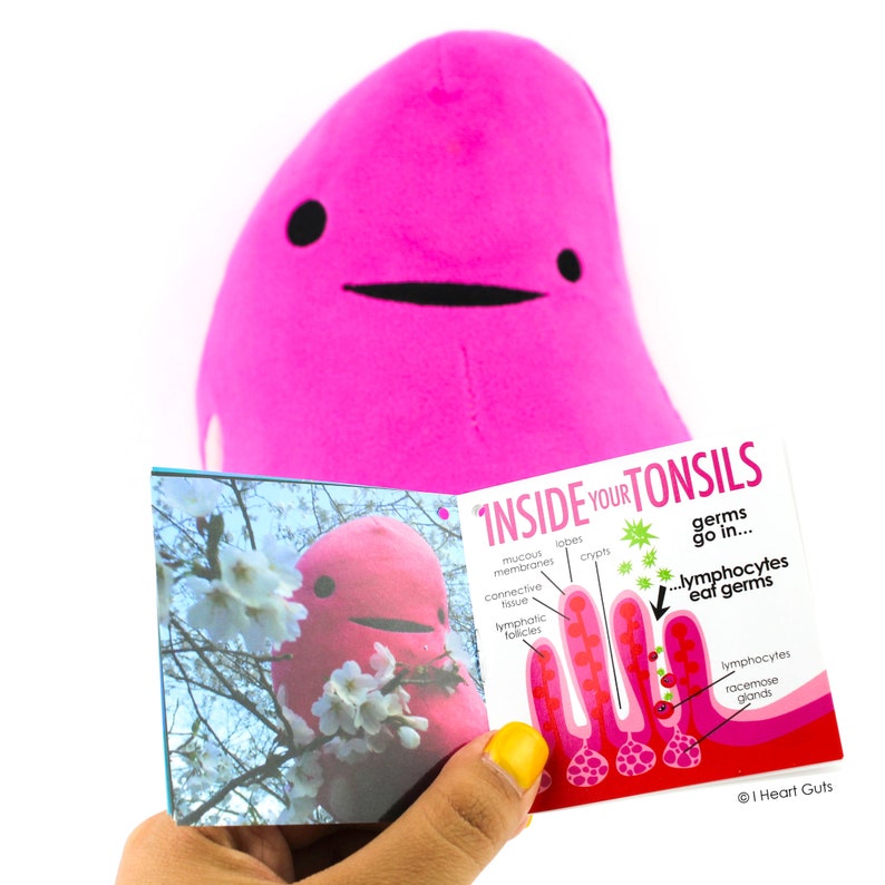 Tonsil Plushie | Get Well Gift, Tonsillectomy Recovery - Etsy