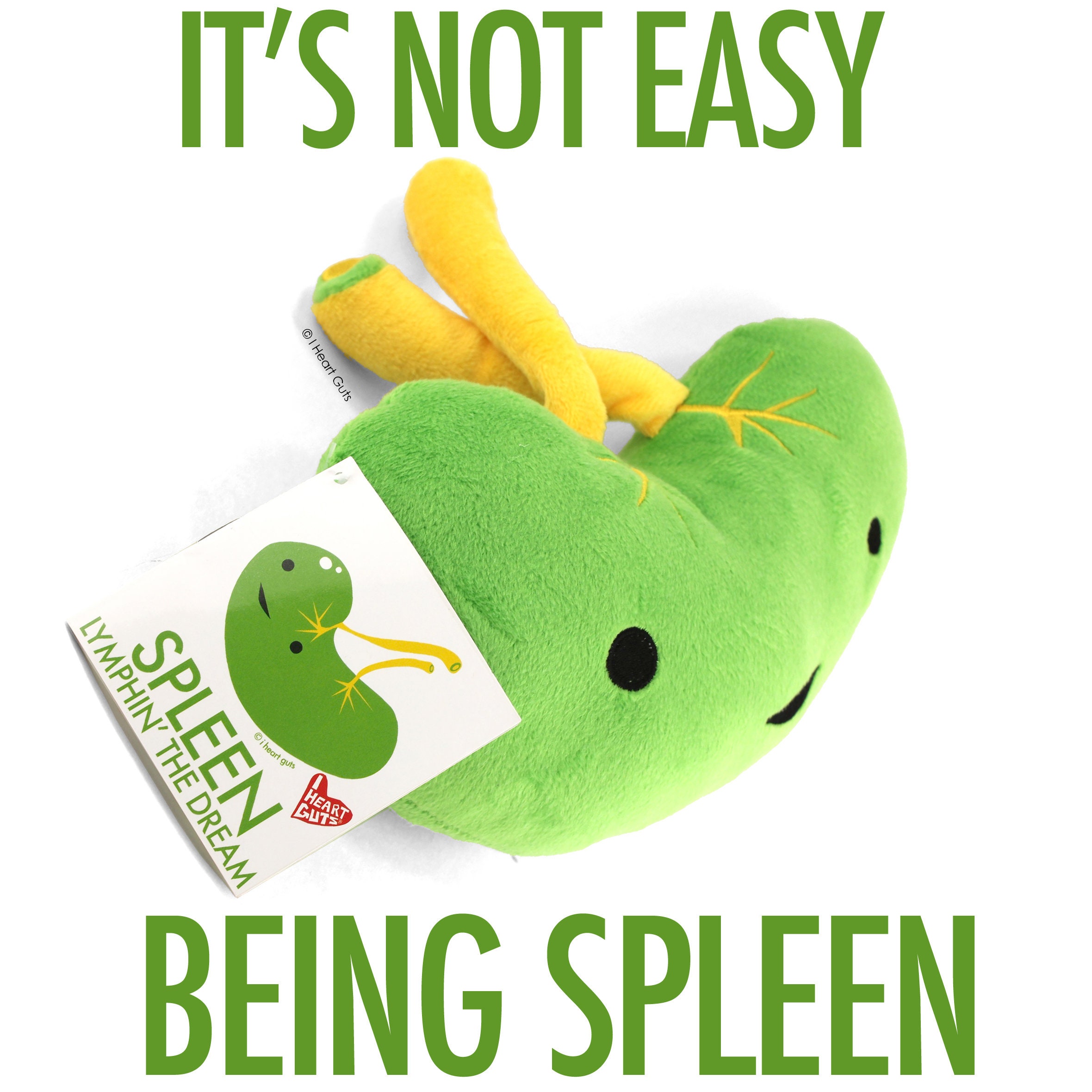Spleen Plushie | Funny Post-splenectomy Gift - Etsy