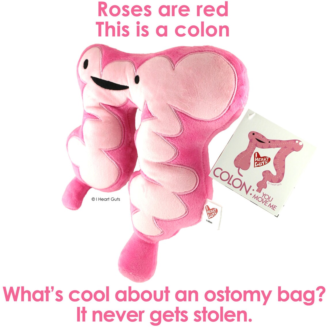 Colon Plushie You Move Me I Heart Guts Organ Stuffed Toy Pillow Surgery ...