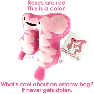 Colon Plushie You Move Me I Heart Guts | Organ Stuffed Toy Pillow ...