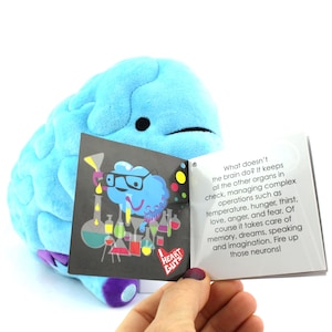 Brain Plushie | Neuroscience Gift, Mental Health Stuffed Toy Pillow - Etsy