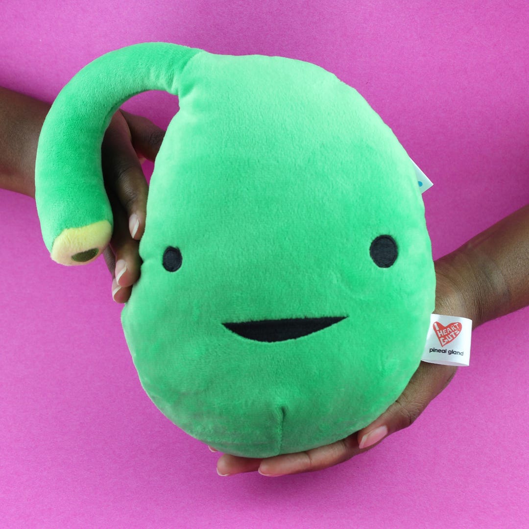Pineal Gland Plushie | 3rd Eye Plush Toy, Pineal Tumor Surgery Get Well ...