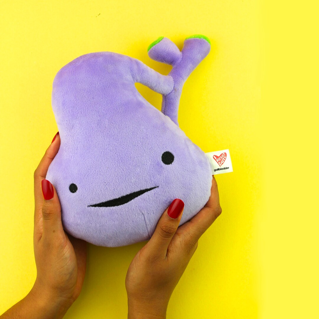 Gallbladder Plushie You've Got Gall I Heart Guts | Plush Organ Stuffed ...