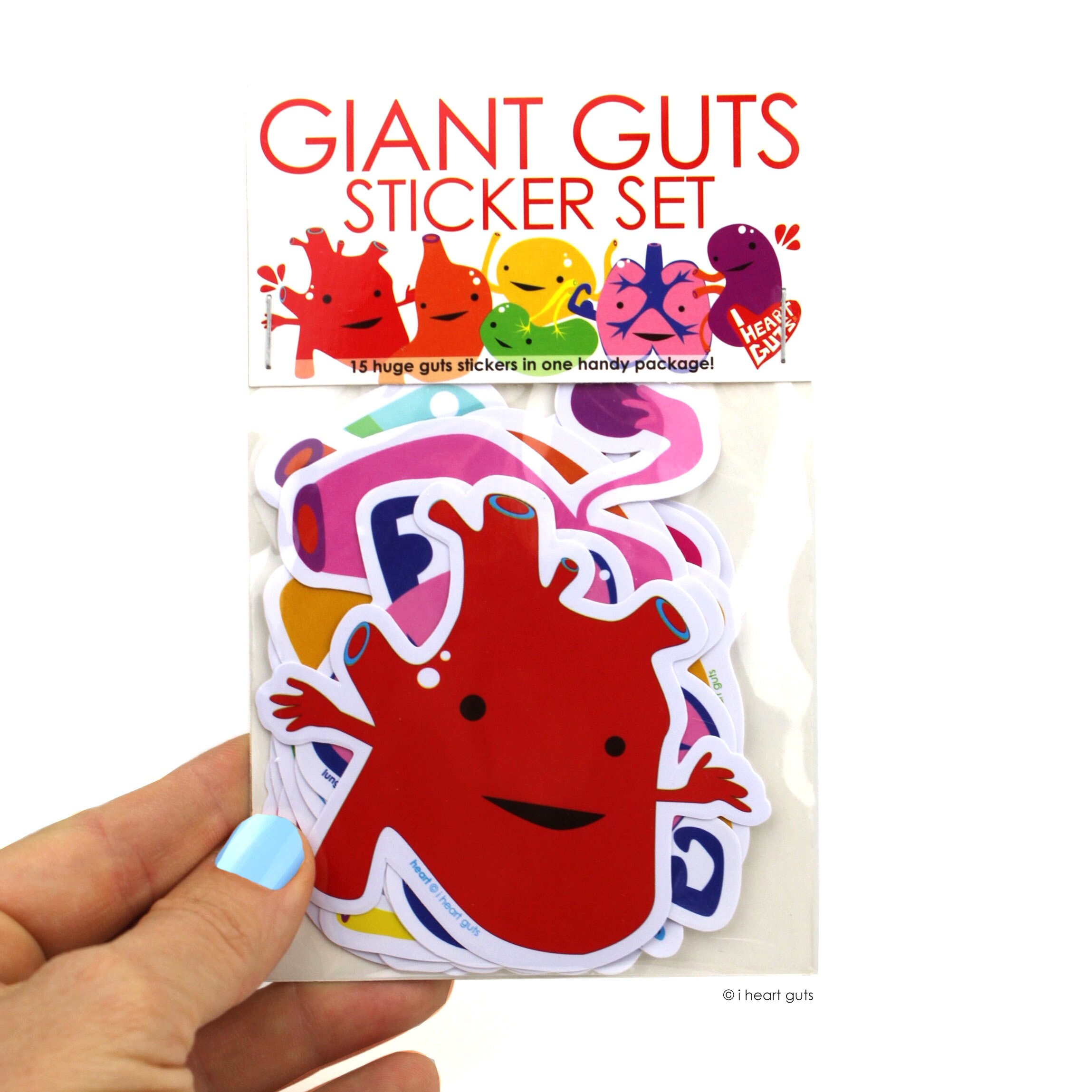 Giant Guts Sticker Set 15 Cute Organ Vinyl 3 Stickers Human Body ...