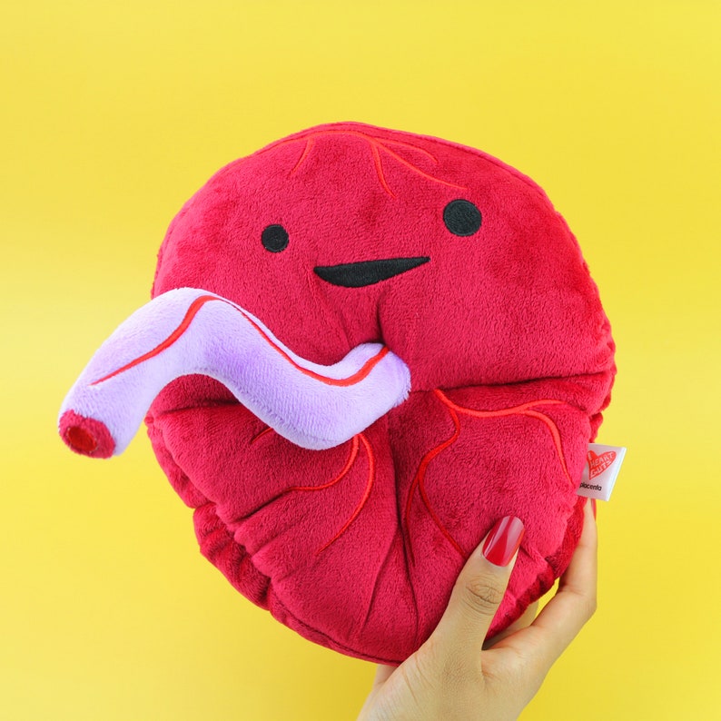 Placenta Plushie - Baby's First Roommate I Heart Guts | Plush Umbilical ...