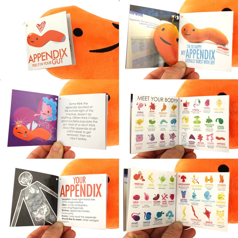 Appendix Plushie | Get Well Appendectomy Gift, Funny Organ Pillow - Etsy