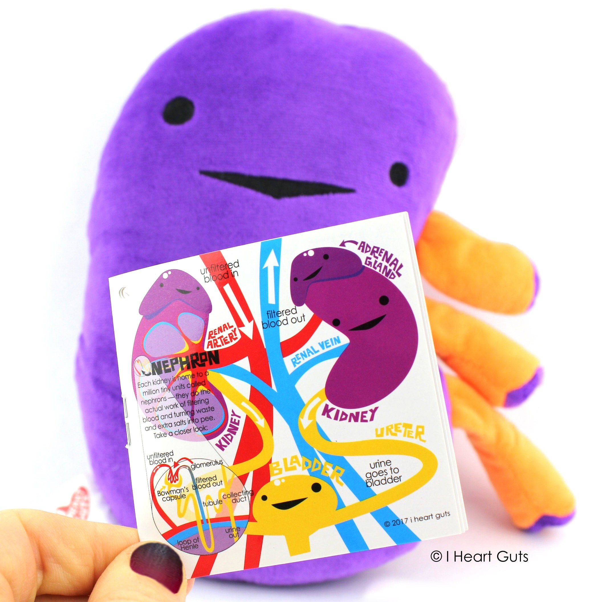 2-sided Kidney Plushie Get Well Transplant Organ Donor Stuffed Toy Cute ...
