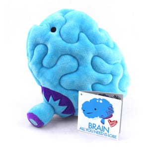 Brain Plushie | Neuroscience Gift, Mental Health Stuffed Toy Pillow - Etsy
