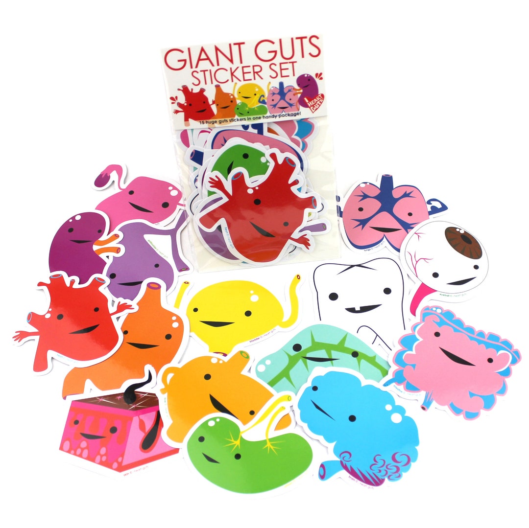 Giant Guts Sticker Set | 15 Cute Organ Vinyl 3" Stickers Human Body ...