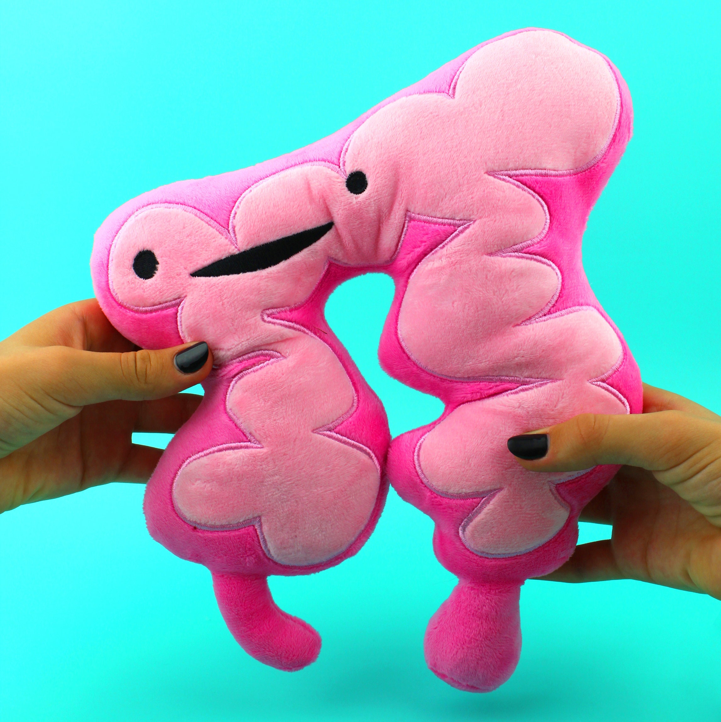 Colon Plushie You Move Me I Heart Guts Organ Stuffed Toy Pillow Surgery ...