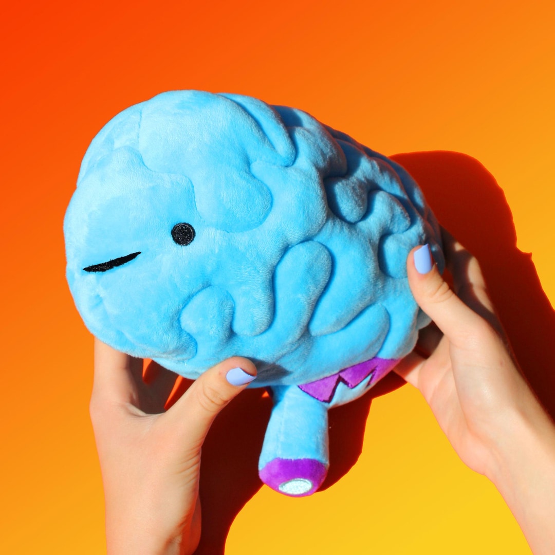 Brain Plushie | Neuroscience Gift, Mental Health Stuffed Toy Pillow - Etsy