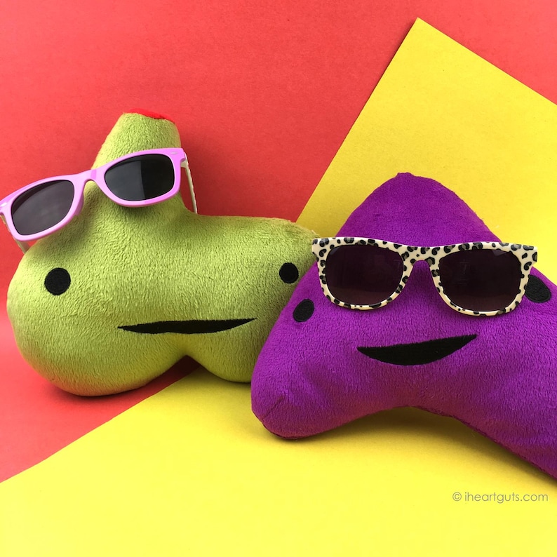 Pituitary Gland Plushie | Brain Tumor Surgery Gift, Cushing's Get Well ...